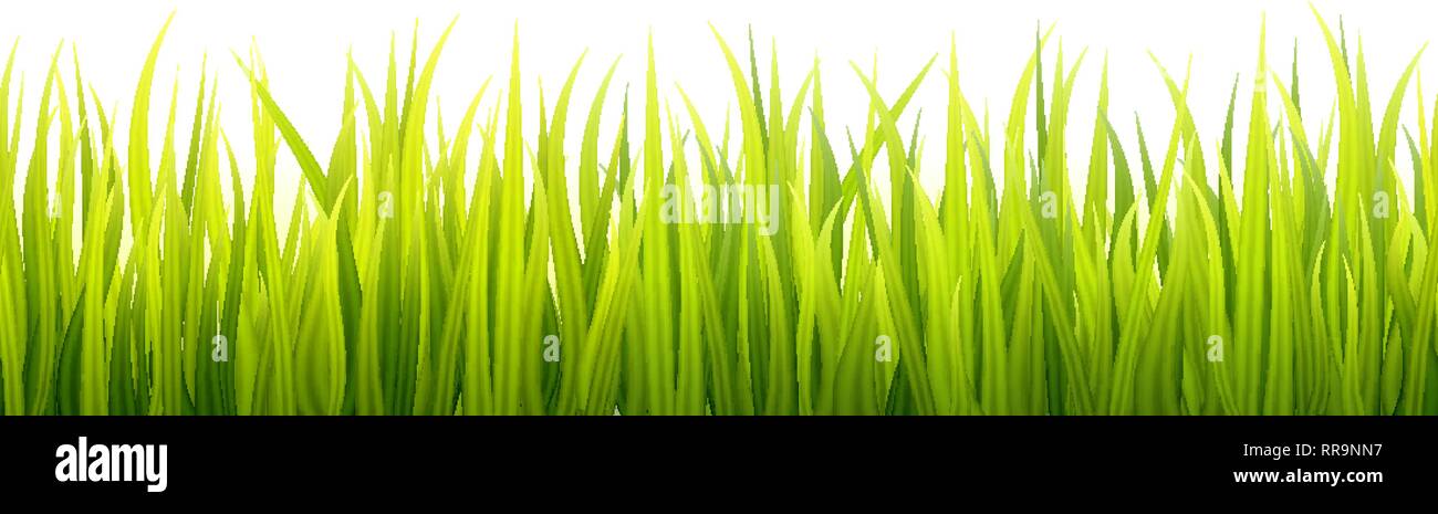 Edging blade Stock Vector Images - Alamy