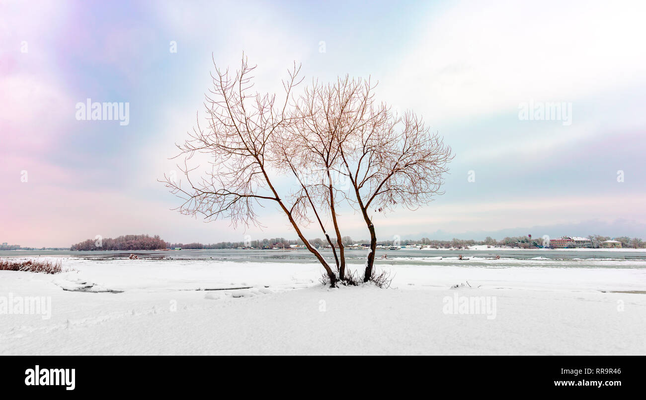 River and white clouds reflection willow trees hi-res stock photography ...