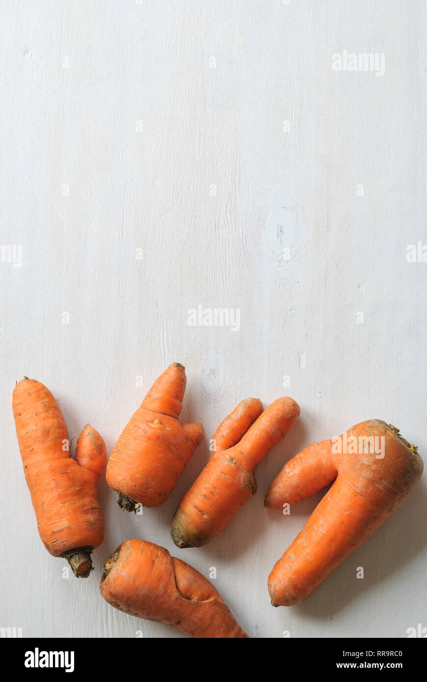 Imperfect carrots with ugly shapes on white background with copy space ...