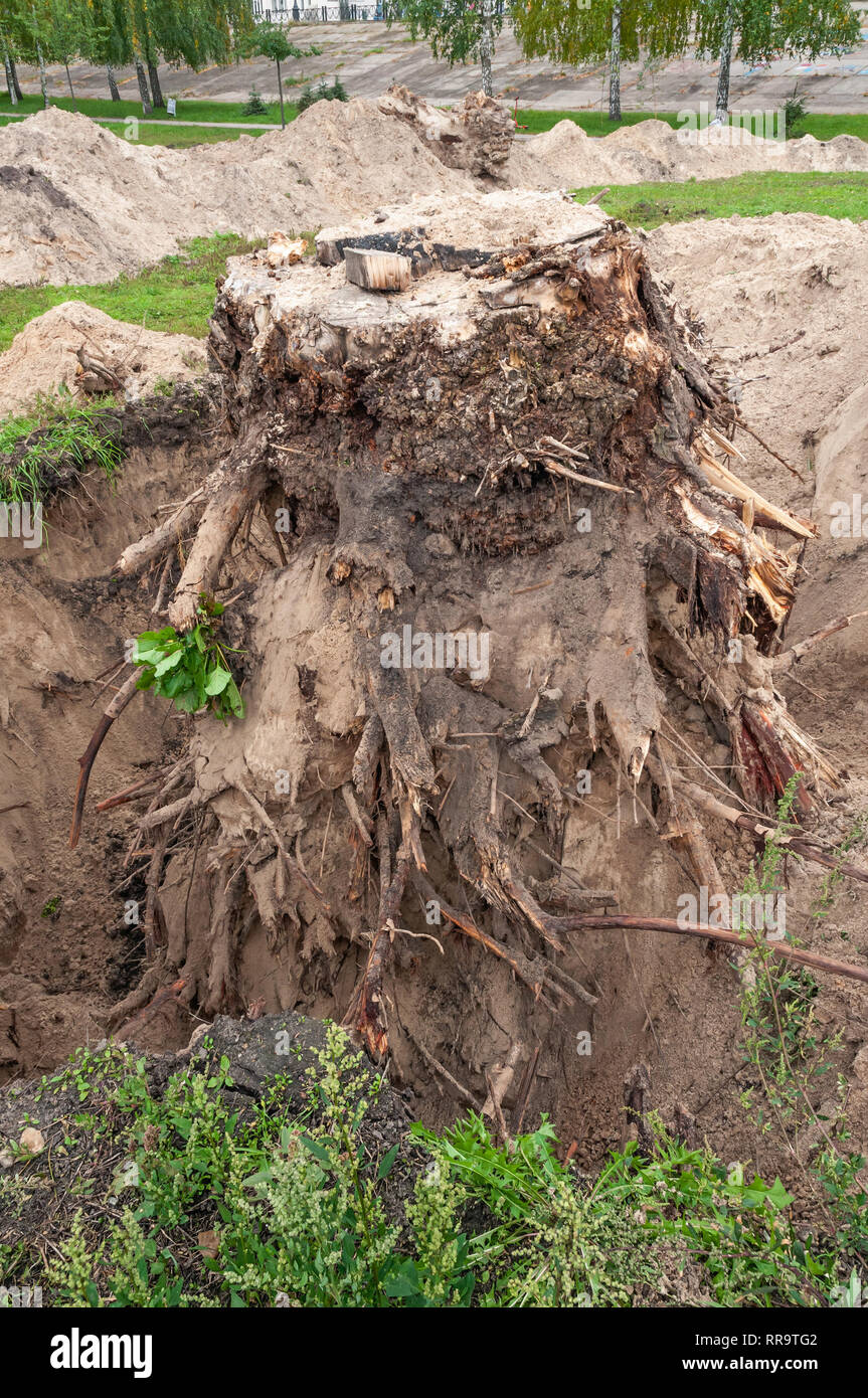 A trench in the ground for laying a pipe in the park. Excavation of a ...