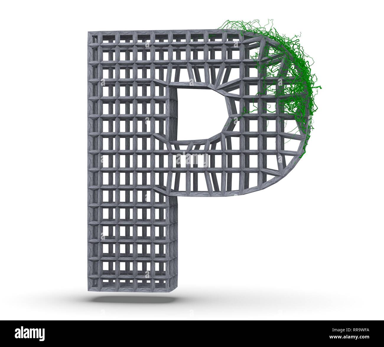 Concrete Capital Letter - P from which the vine grows, isolated on ...
