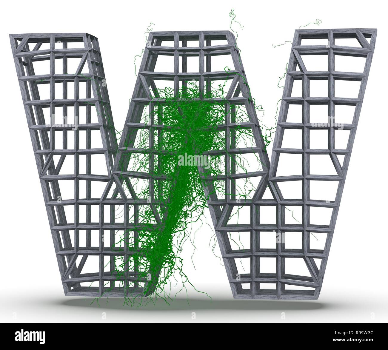 Concrete Capital Letter - W from which the vine grows, isolated on ...