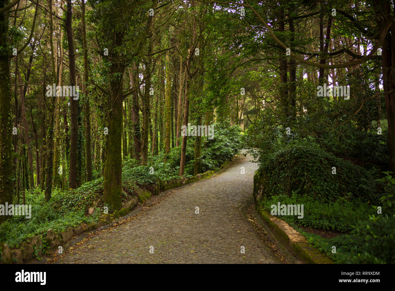 Pena Park, the grounds that surround Pena Palace, Pedro de Penaferrim ...