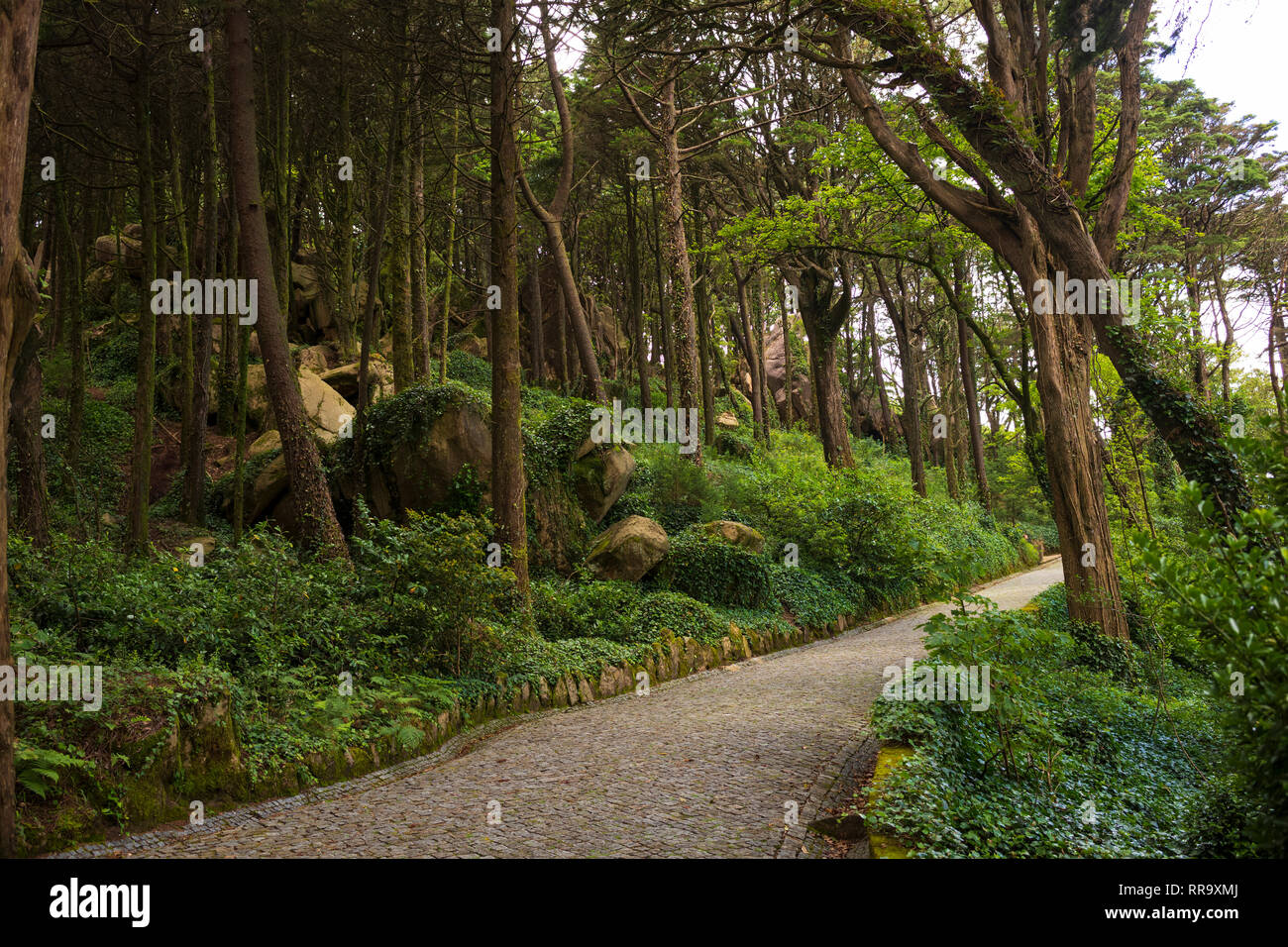 Pena Park, the grounds that surround Pena Palace, Pedro de Penaferrim ...