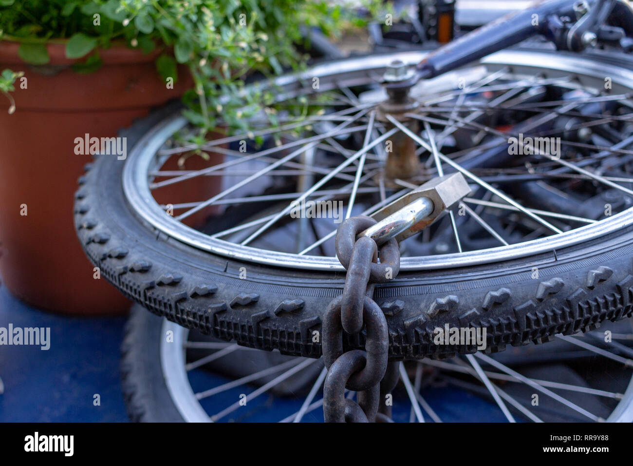 The bicycle wheels is locked with the iron rusty chain - Lost freedom ...