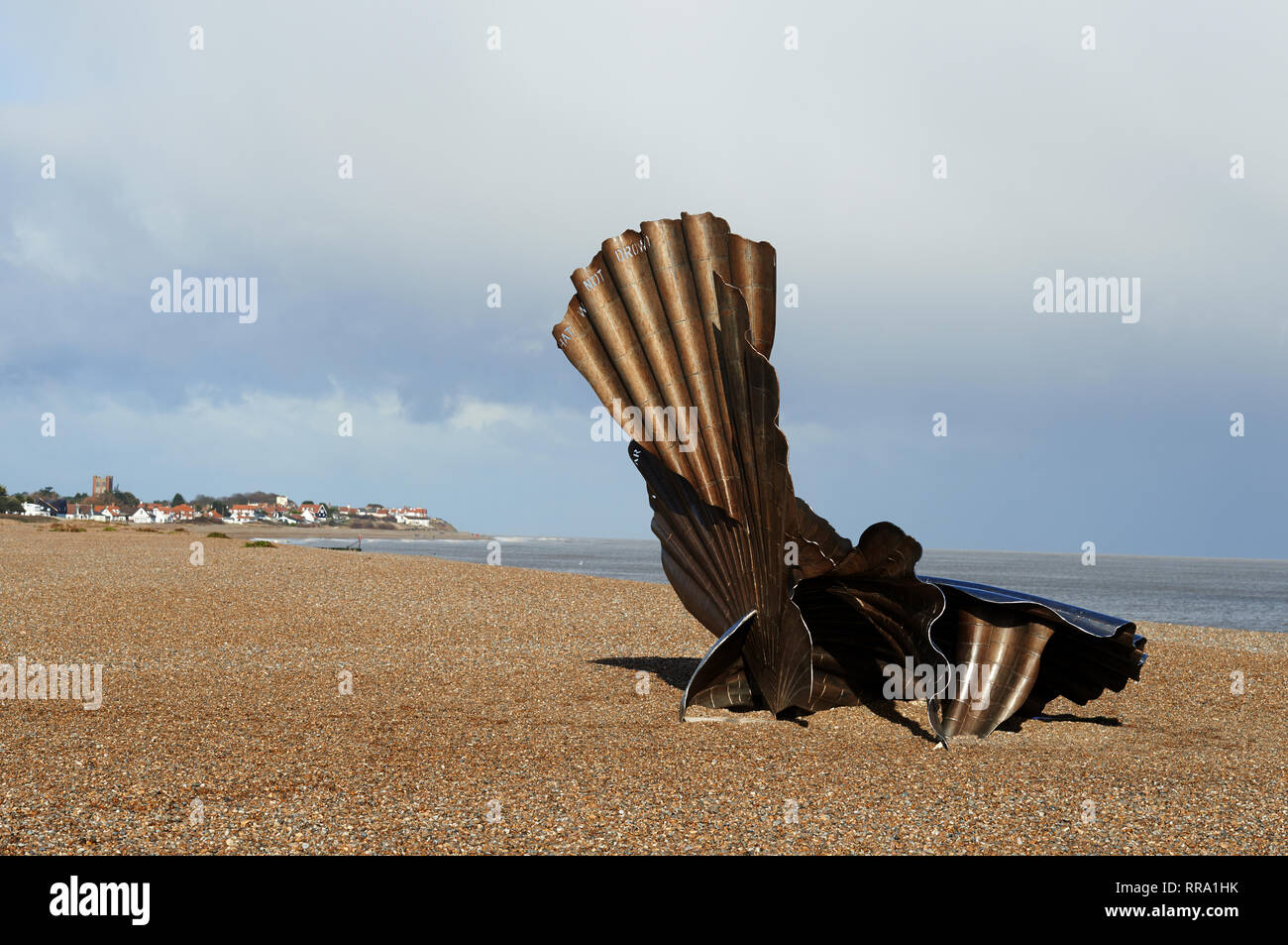Scollop hi-res stock photography and images - Alamy