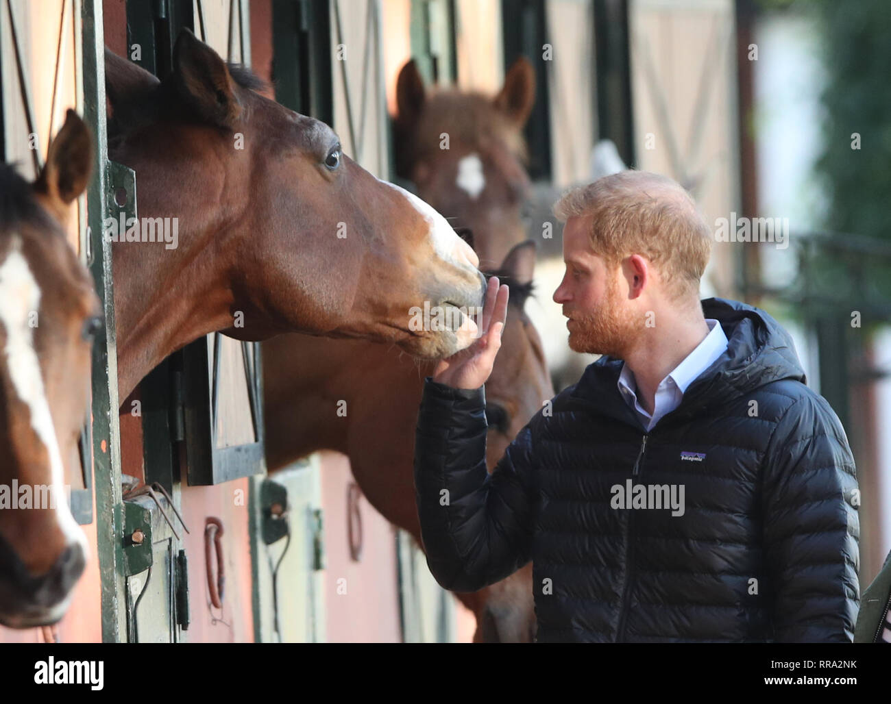 The Duke and Duchess of Sussex during a visit to the Moroccan Royal ...