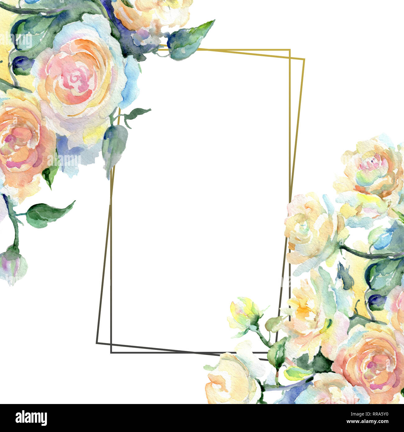 Beige rose bouquet botanical flower. Watercolor background illustration ...