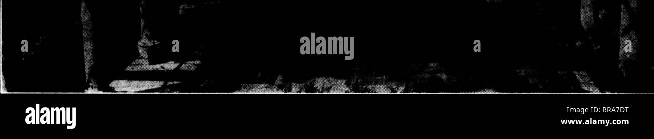 Pierre s du pont Black and White Stock Photos & Images - Alamy