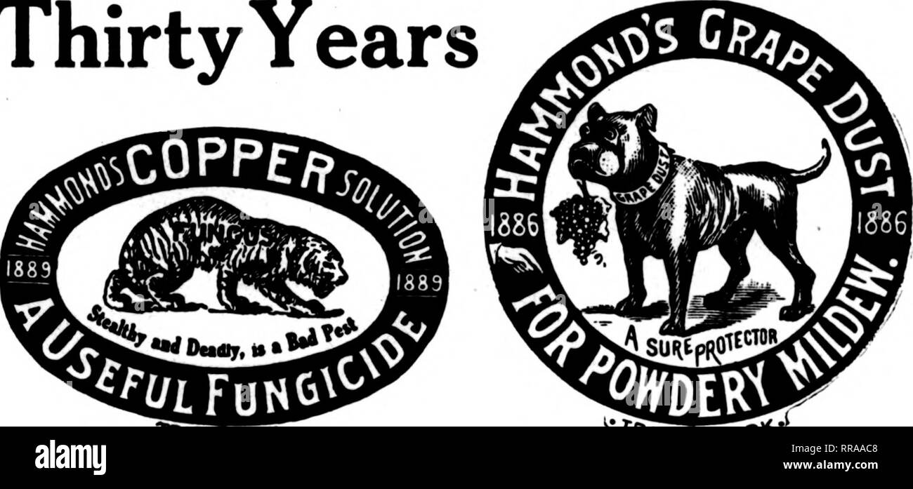 Soft scale insects Black and White Stock Photos & Images - Alamy