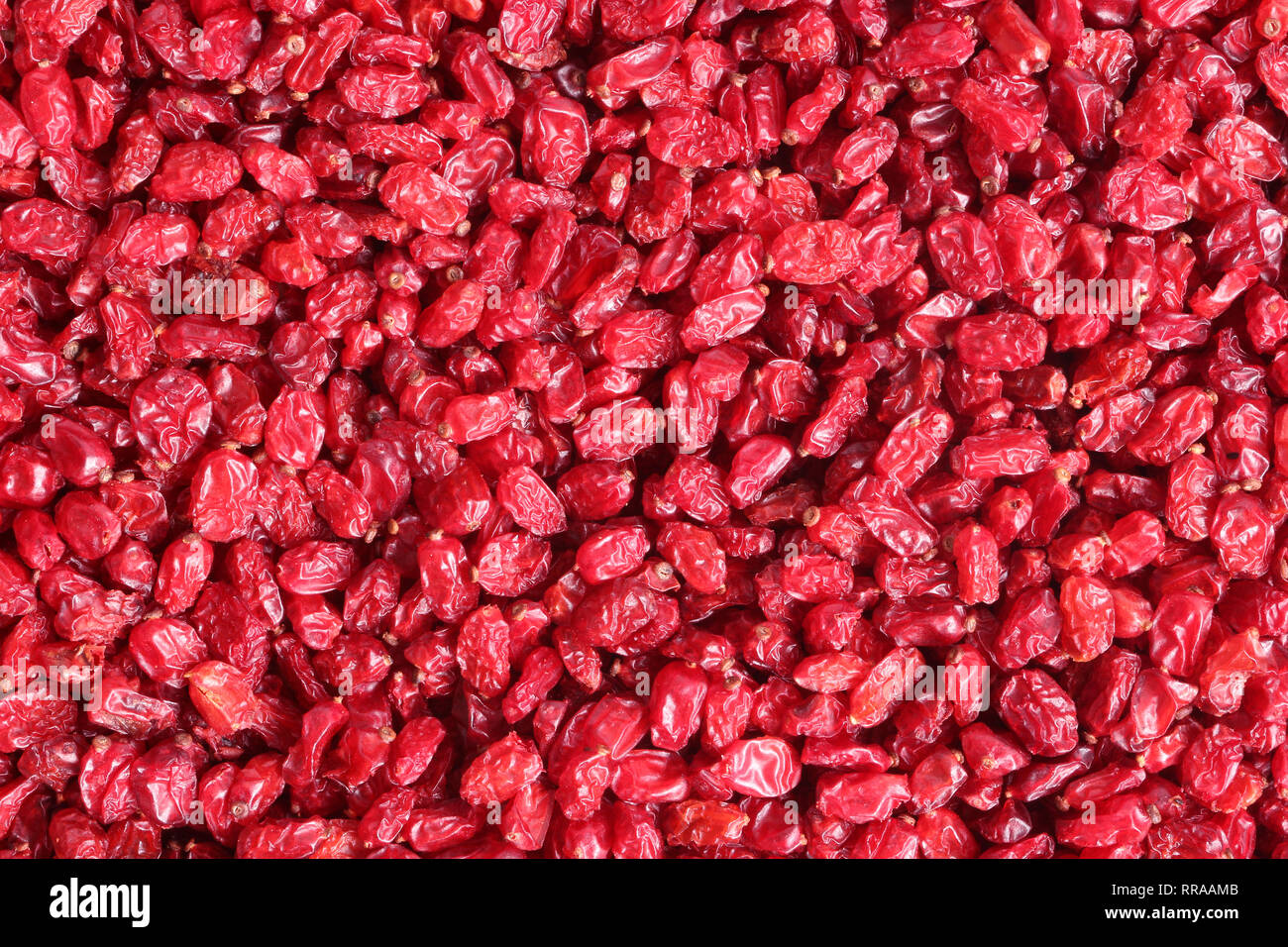 Dry Berberis. Close Up Red Berry Texture Stock Photo - Alamy