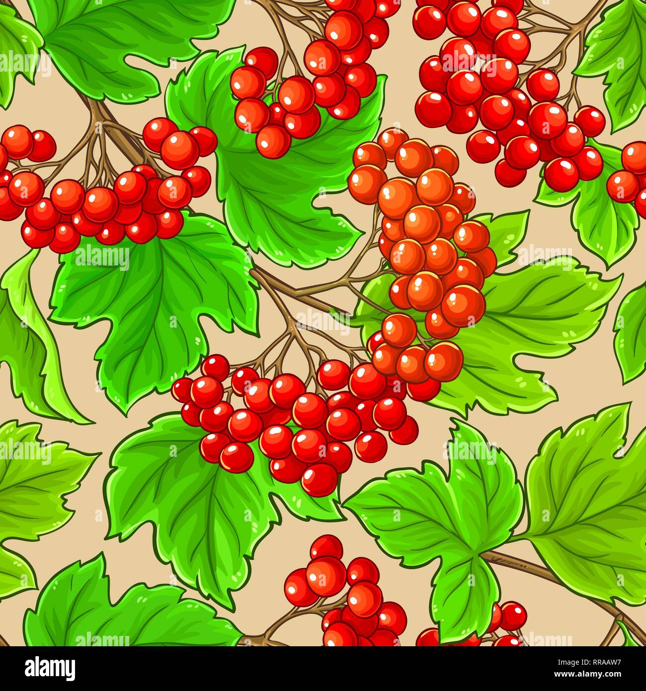 Guelder rose bush drawing Stock Vector Images - Alamy