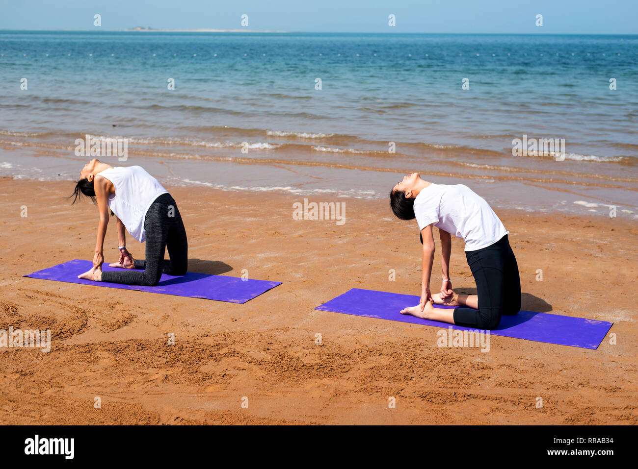 Camel exercise hi-res stock photography and images - Alamy