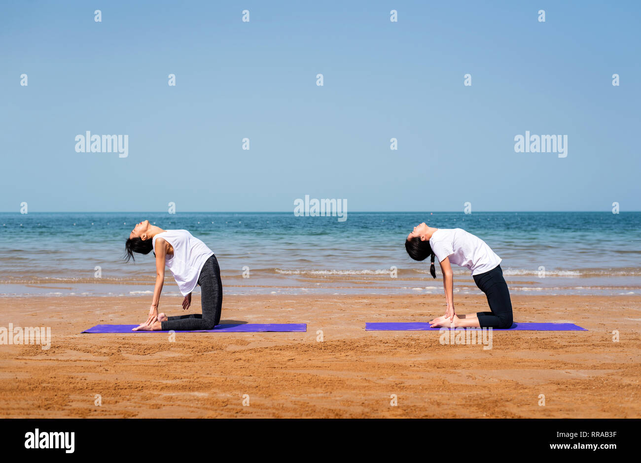 Camel exercise hi-res stock photography and images - Alamy