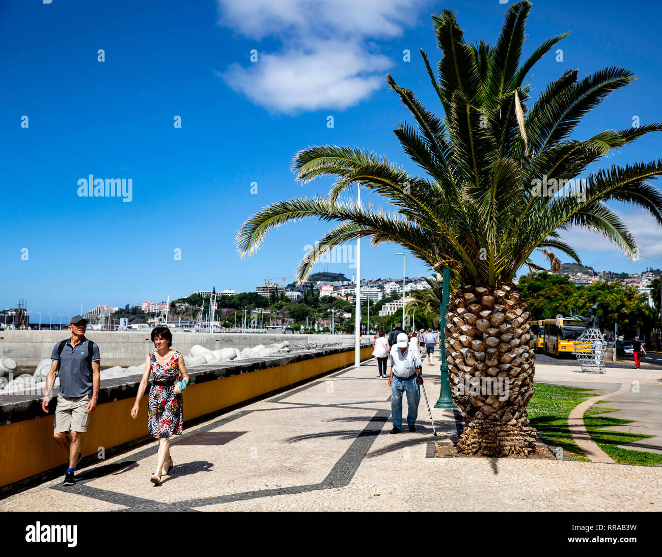 Part of the Esplanade along the waterfront, Funchal, Madeira, Portugal ...