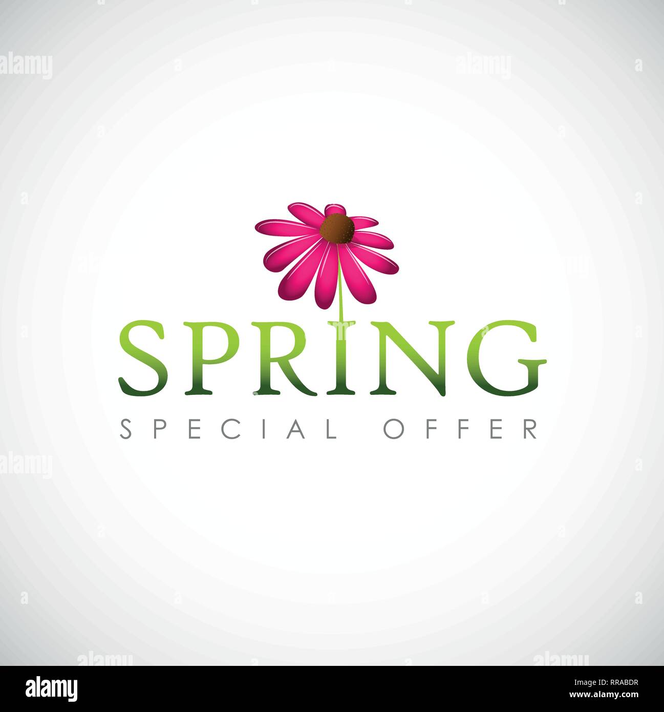 spring special offer typography with pink blooming flower petal vector ...