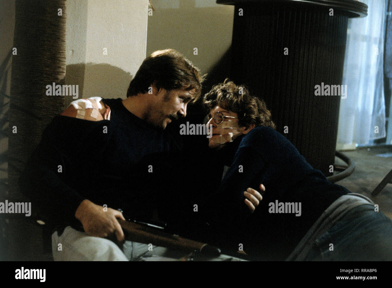 Haus im wald hi-res stock photography and images - Alamy