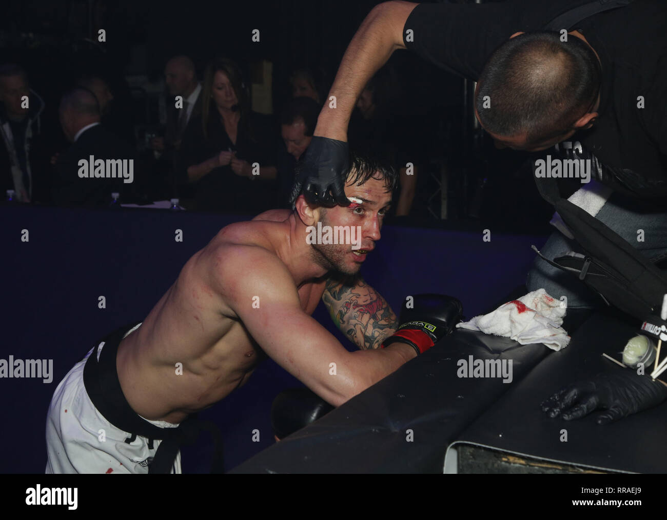 Celebrities attend Karate Combat Hollywood at Avalon in Hollywood ...