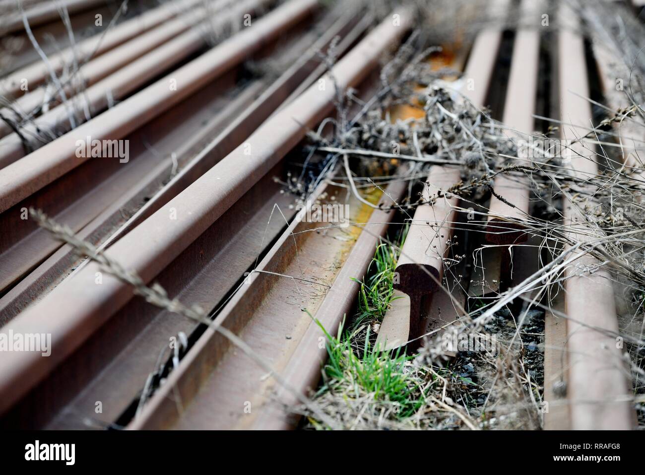 Symbolic picture Deutsche Bahn (german Railway) - old tracks, Germany ...