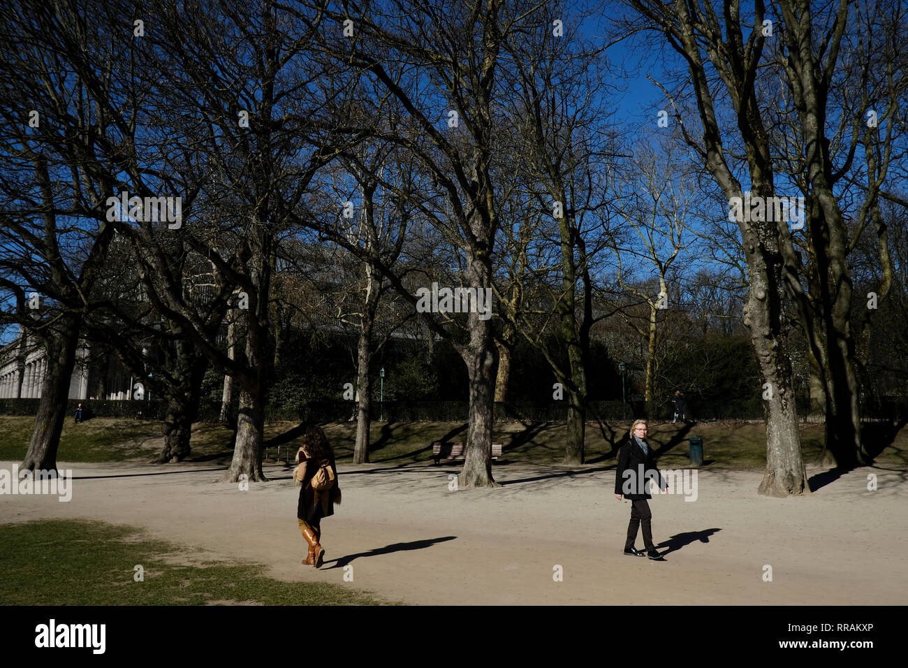 Brussels, Belgium. 25th February 2019. People enjoy the sunny weather ...