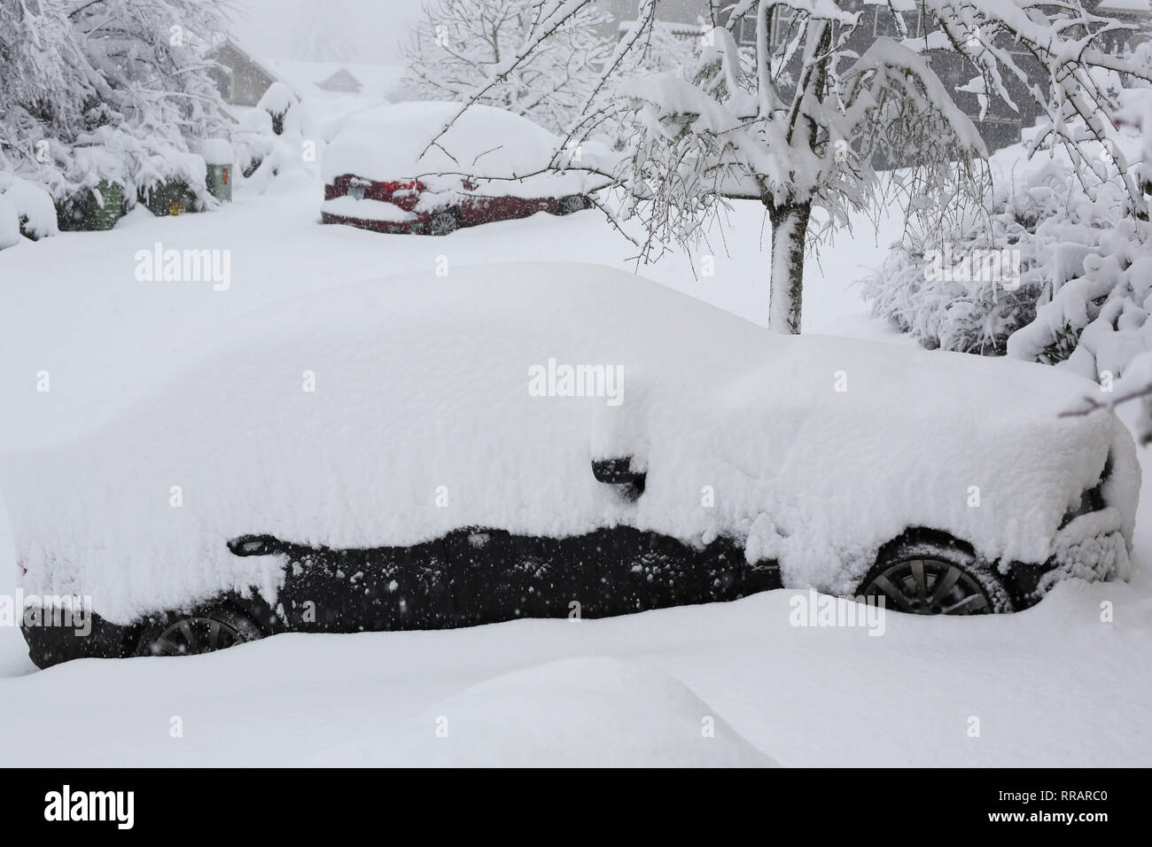 Pacific northwest snowstorm 2019 hi-res stock photography and images ...
