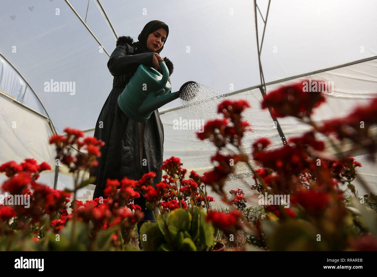 Gaza. 25th Feb, 2019. Palestinian Rewaa Al-Najjar, 22, waters the ...