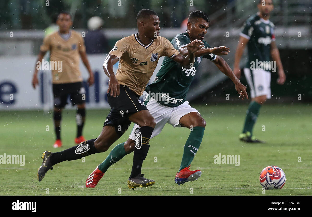 SÃO PAULO, SP - 23.02.2019: PALMEIRAS X SANTOS - Thiago Santos, from SE Palmeiras, plays with ...