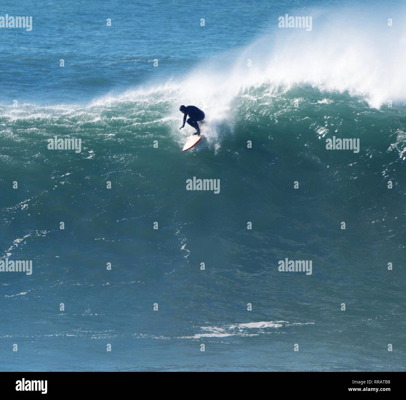 Newquay, Cornwall, 25th February 2019. UK weather: Local surfers enjoy ...