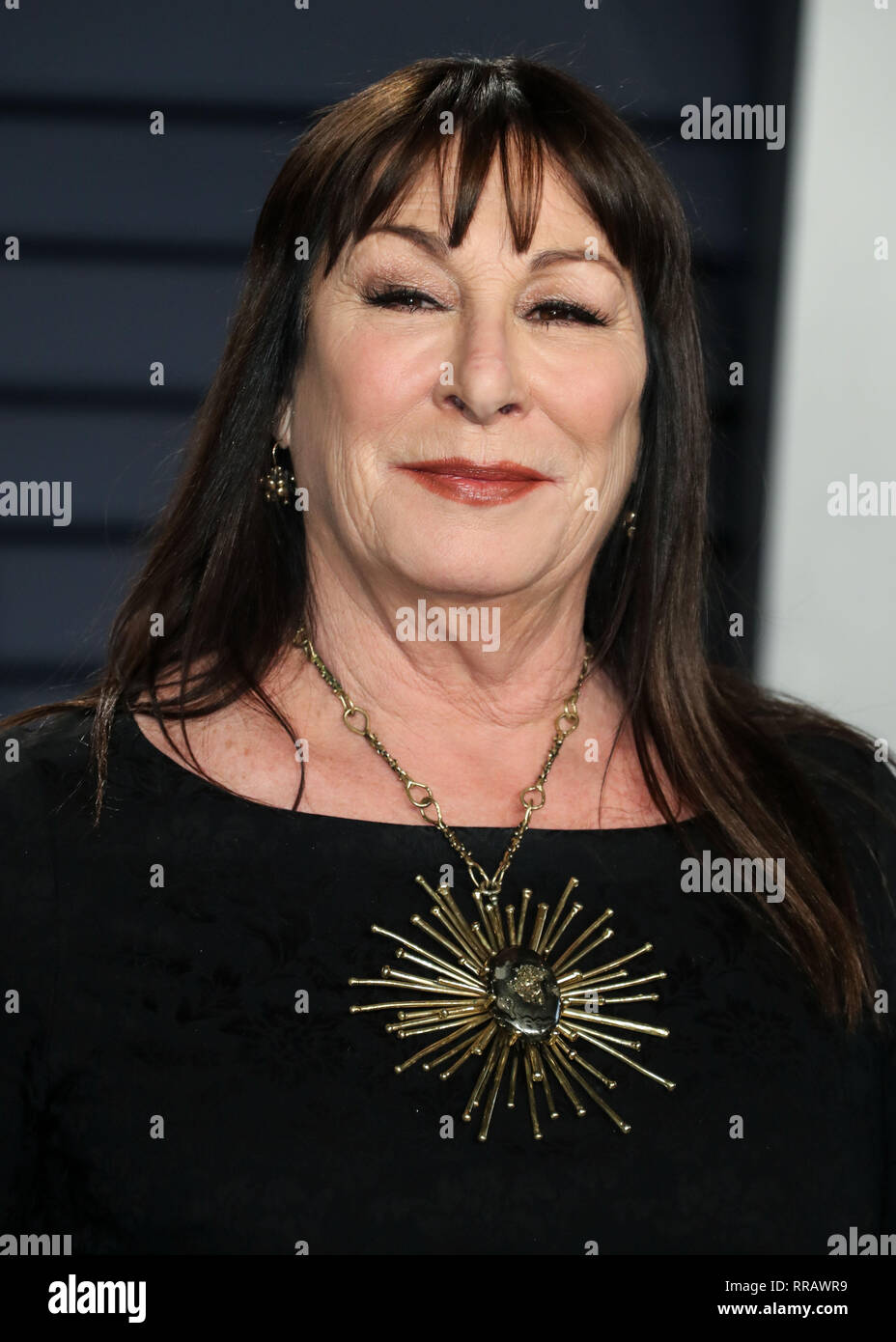 BEVERLY HILLS, LOS ANGELES, CA, USA - FEBRUARY 24: Anjelica Huston ...