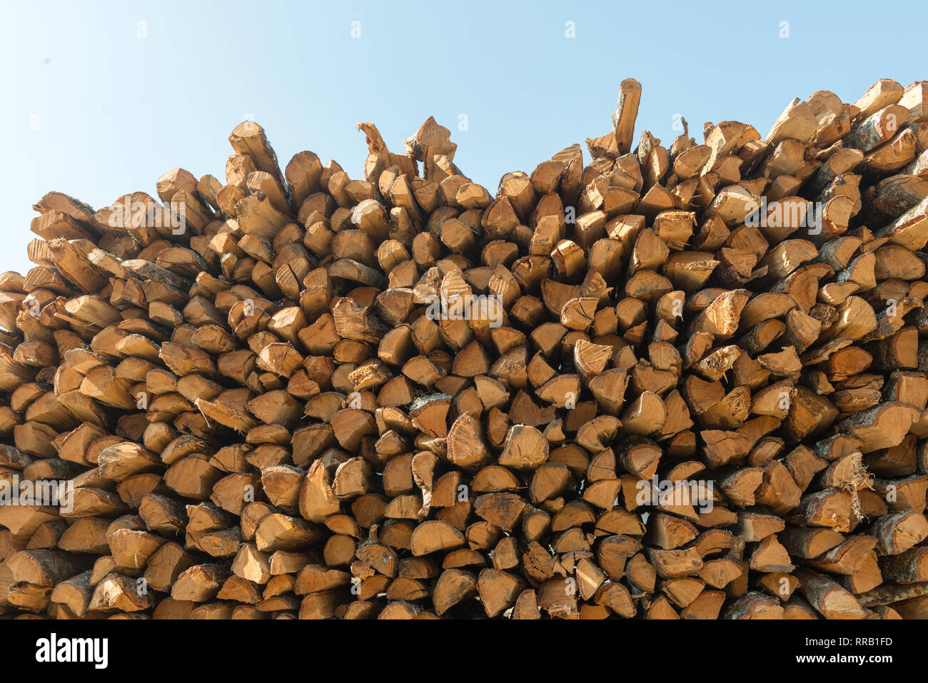 Firewood logs piled on to a heap, drying in the sun. Natural texture ...