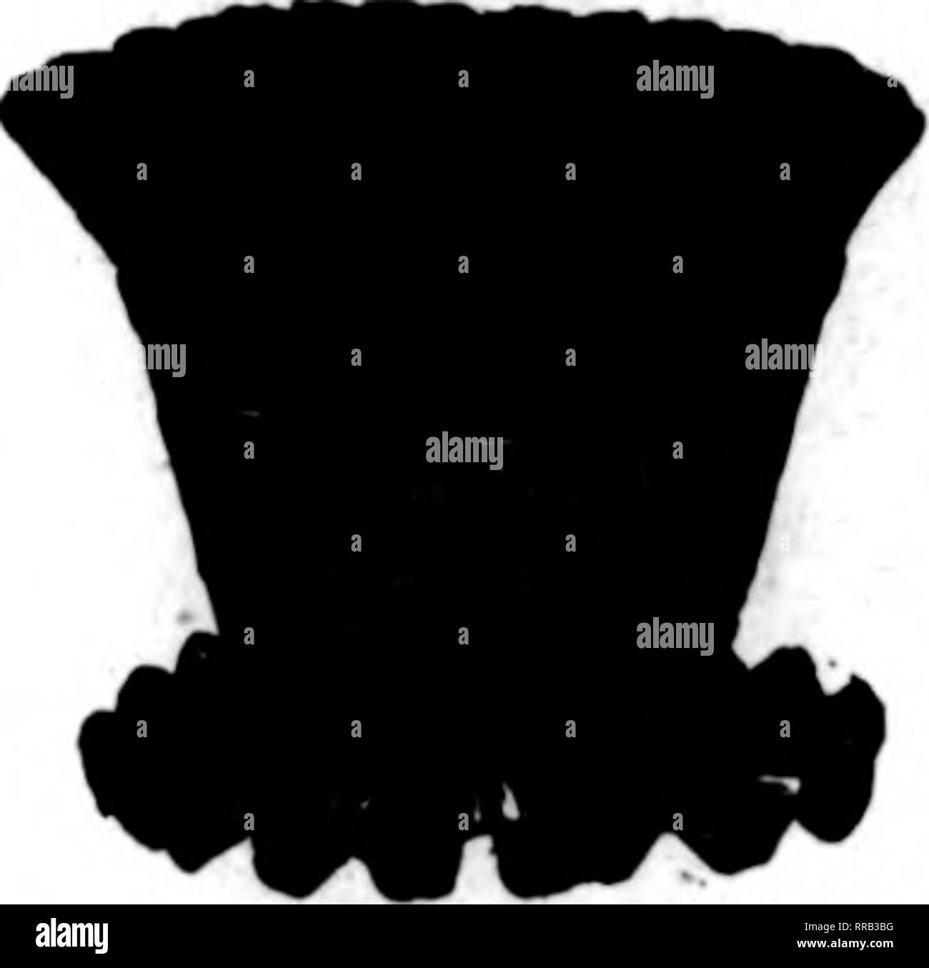 . Florists' review [microform]. Floriculture. 98 The Florists^ Review ...