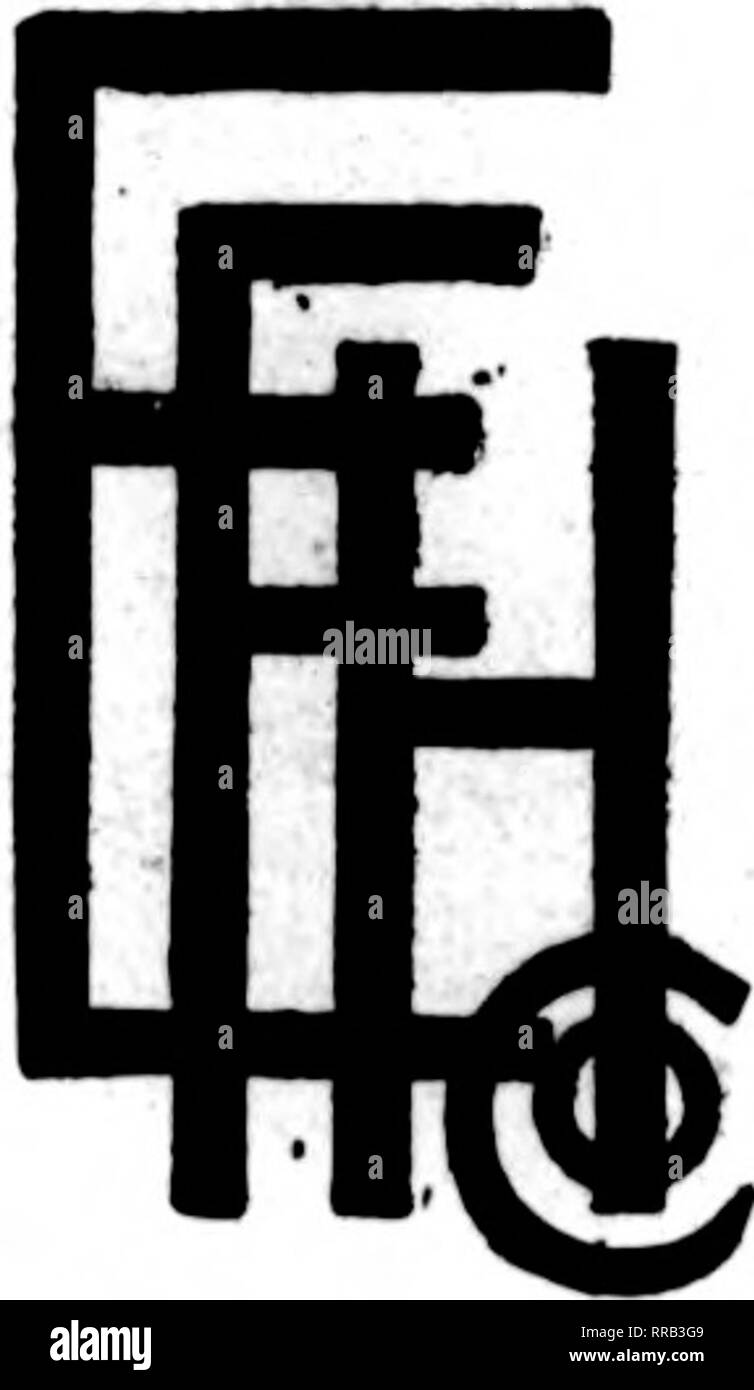 Lakewood park point hi-res stock photography and images - Alamy