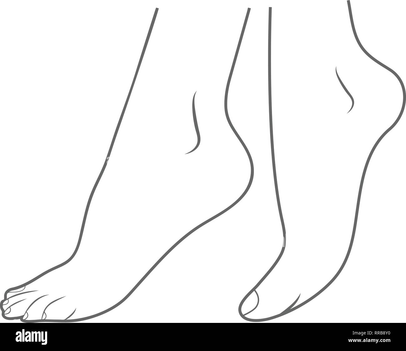 Feet - Lateral View Outside Isolated On A White Background. Vector ...
