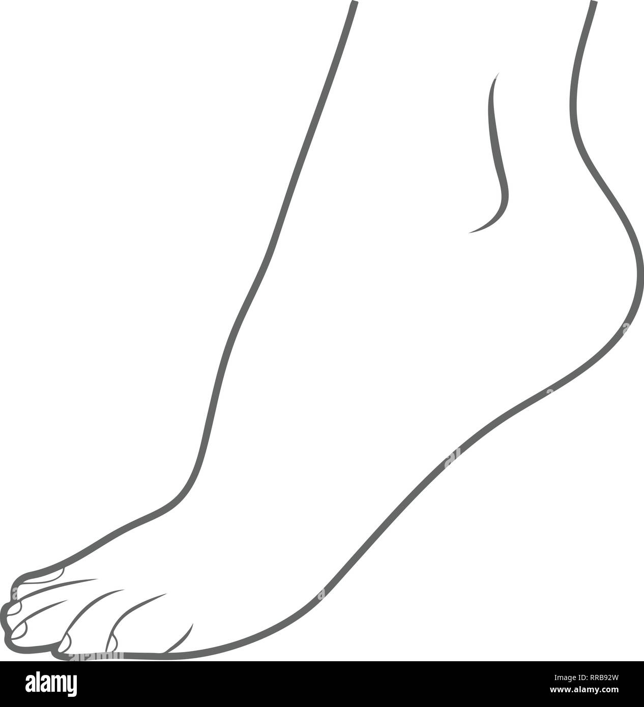 Human Foot, Leg Icon - Lateral View Outside Isolated On A White ...