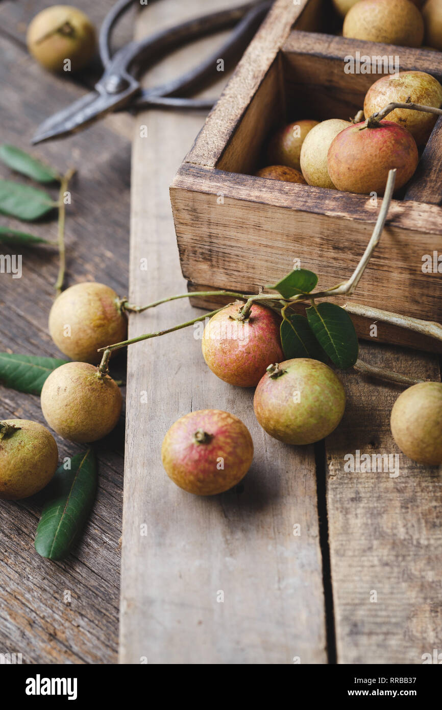 Fresh longan fruits Stock Photo - Alamy
