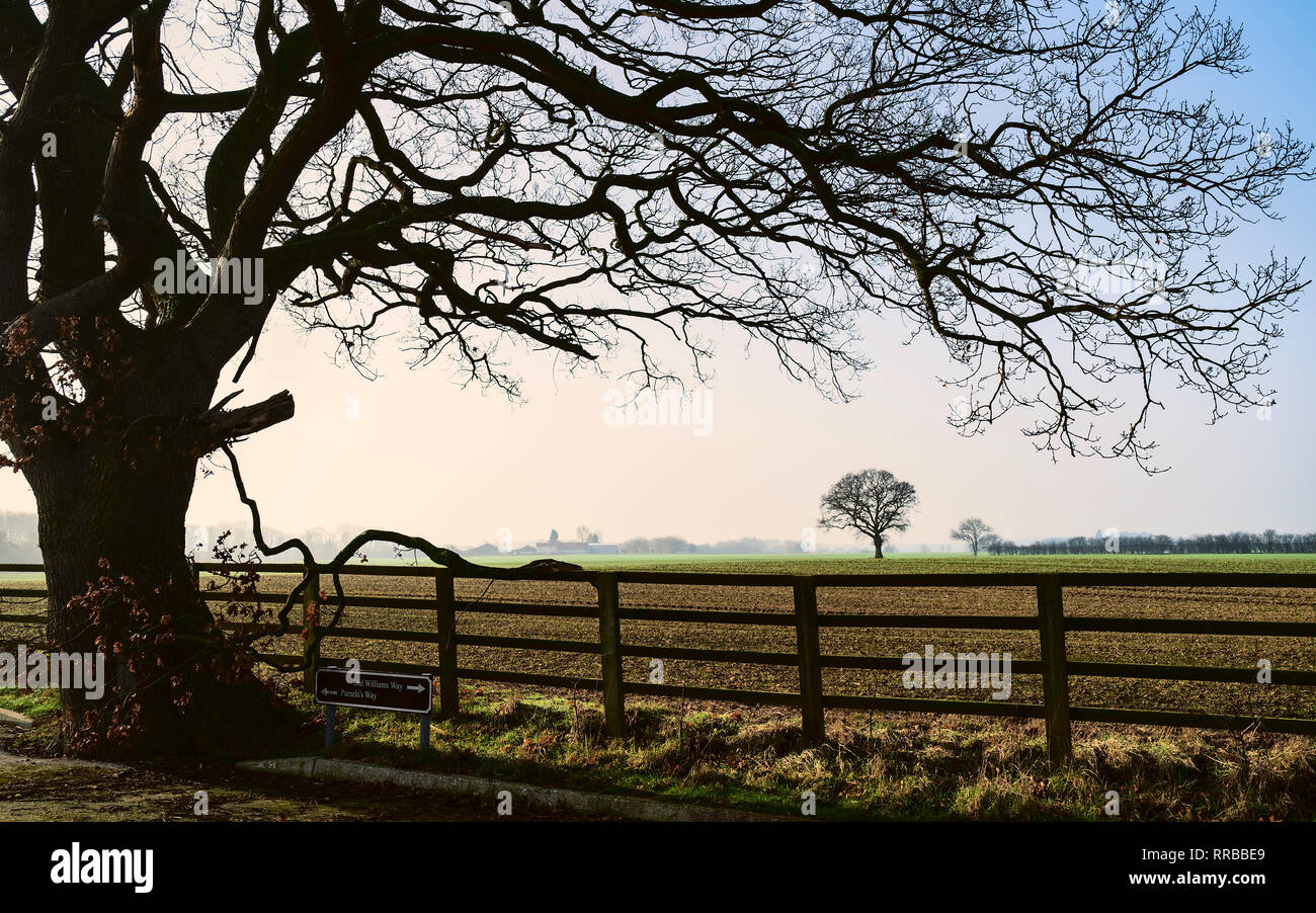 View across agricultural landscape on fine misty spring morning under ...