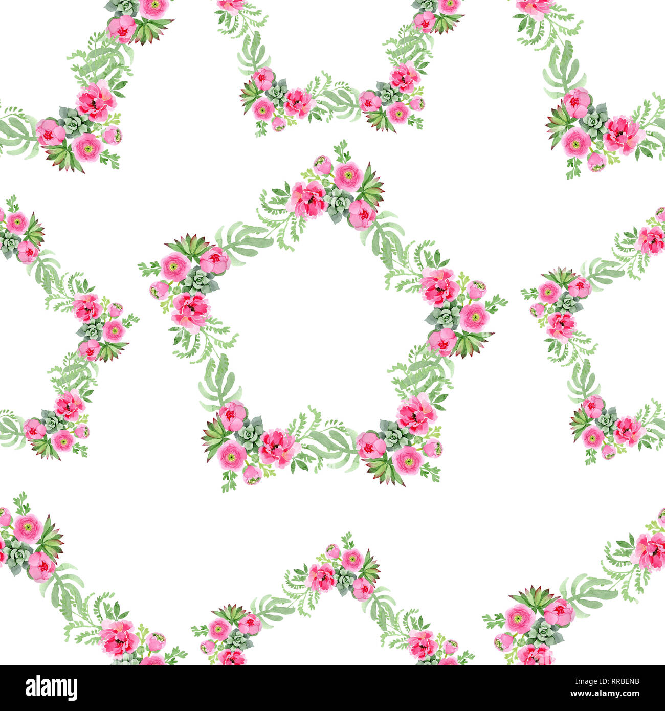 Pink ranunculus floral botanical flowers. Watercolor background ...