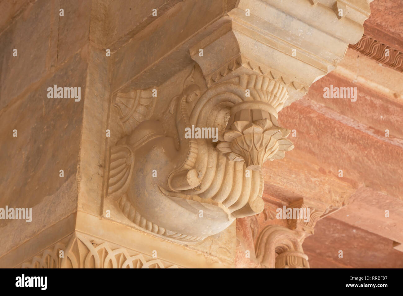 marble elephant as capital on column in palace of Amer Fort, India ...