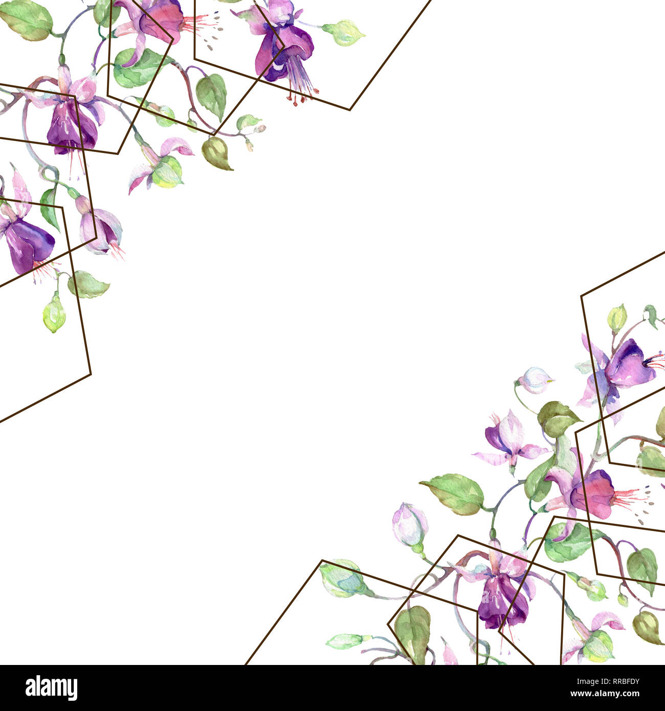Purple fuchsia bouquet. Floral botanical flower. Watercolor background ...