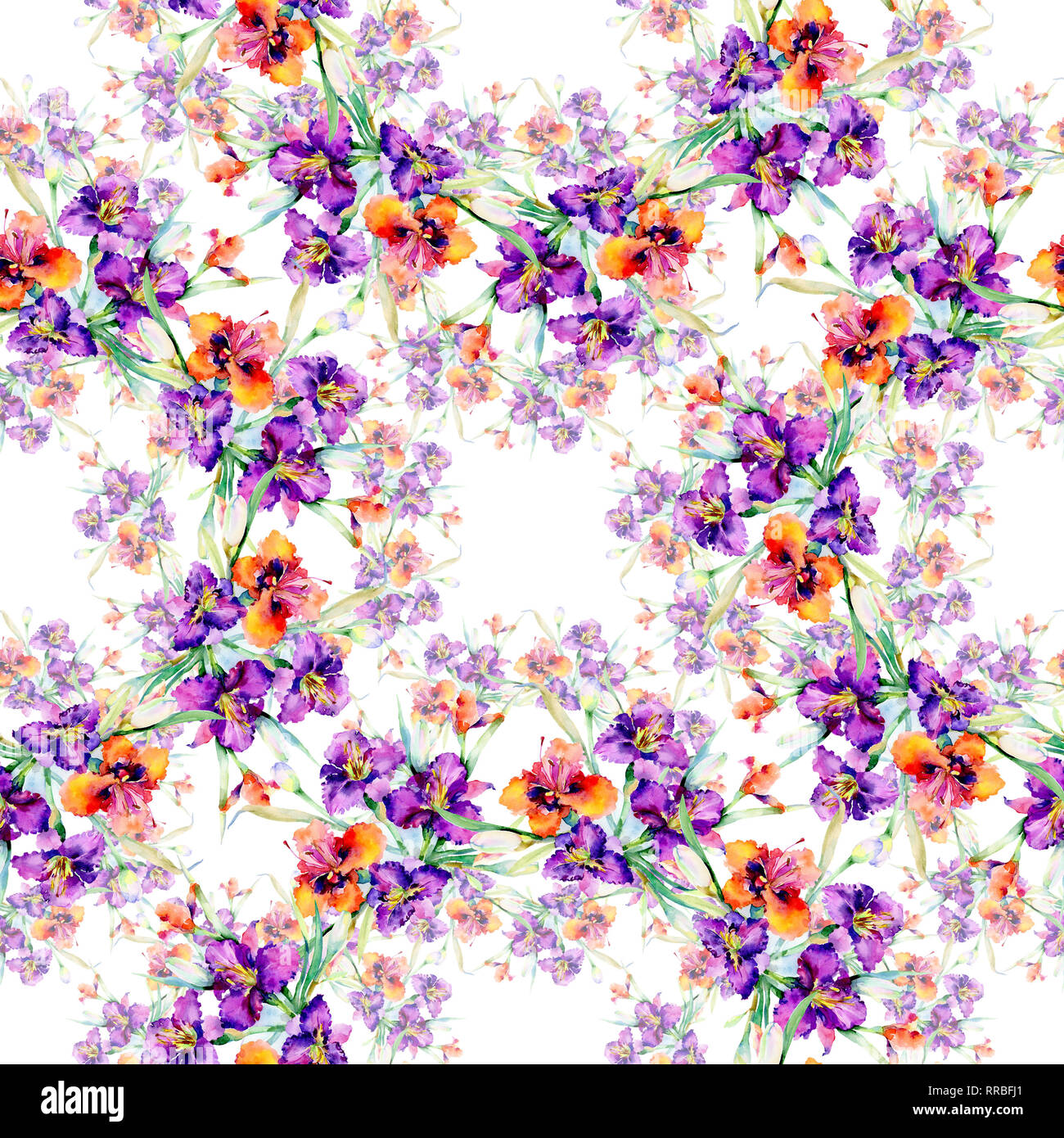 Purple daylily bouquet floral botanical flowers. Watercolor background ...