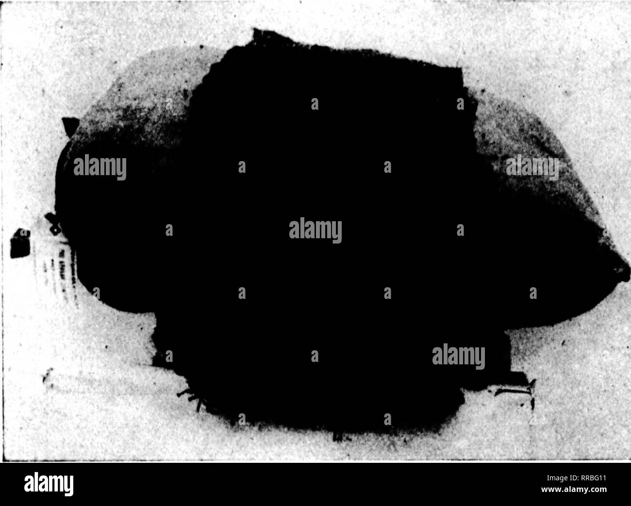 Extra large sheets hi-res stock photography and images - Alamy