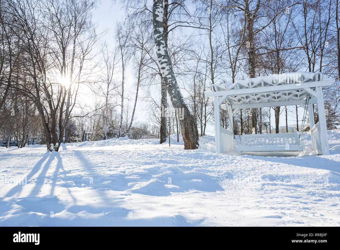 Park benches and trees in winter Stock Photo - Alamy