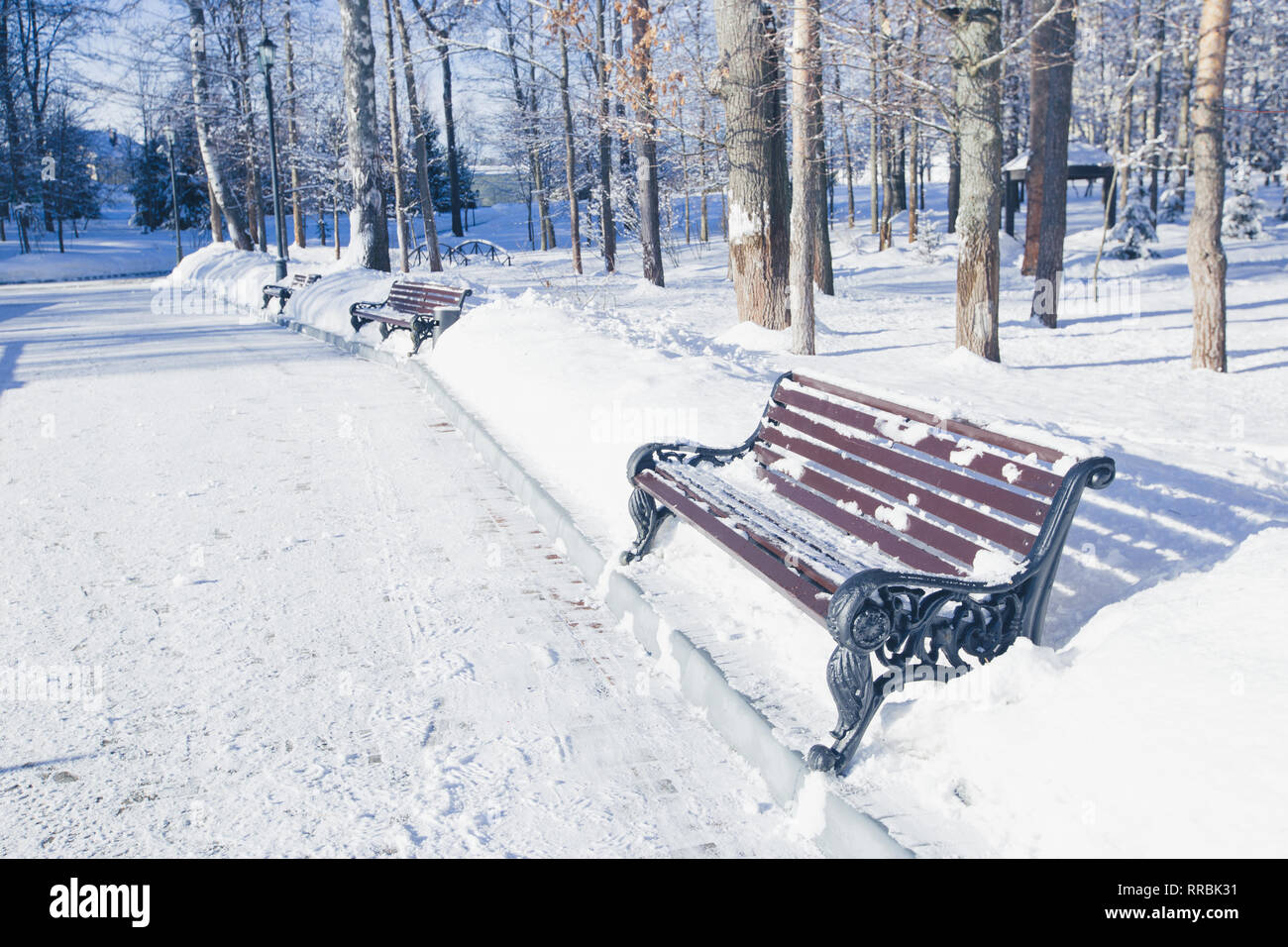 Park benches and trees in winter Stock Photo - Alamy