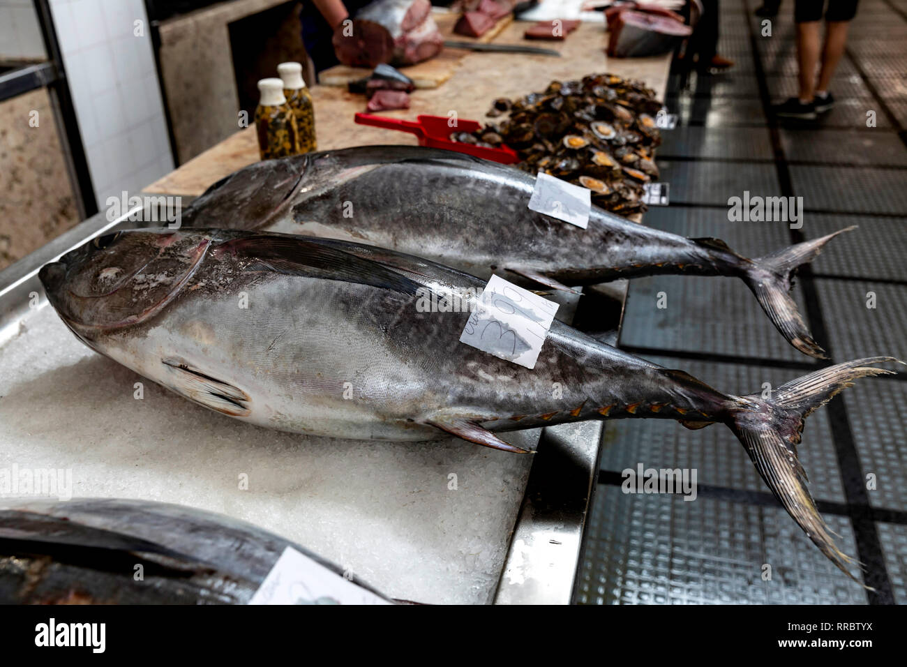 Whole tuna for sale at the Lavradores fish market, Funchal, Madeira ...