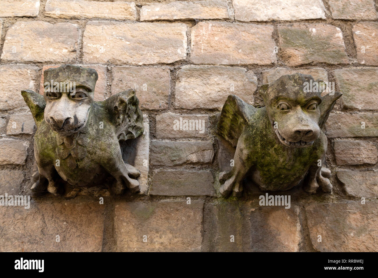 Stone gargoyles in York, England. They are on a wall at the St Martin ...