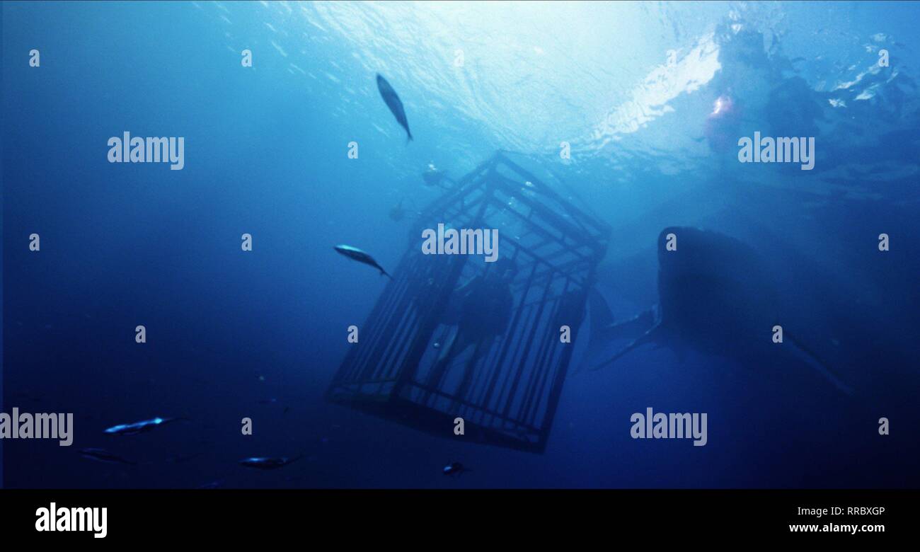 47 Meters Down Shark High Resolution Stock Photography and Images - Alamy