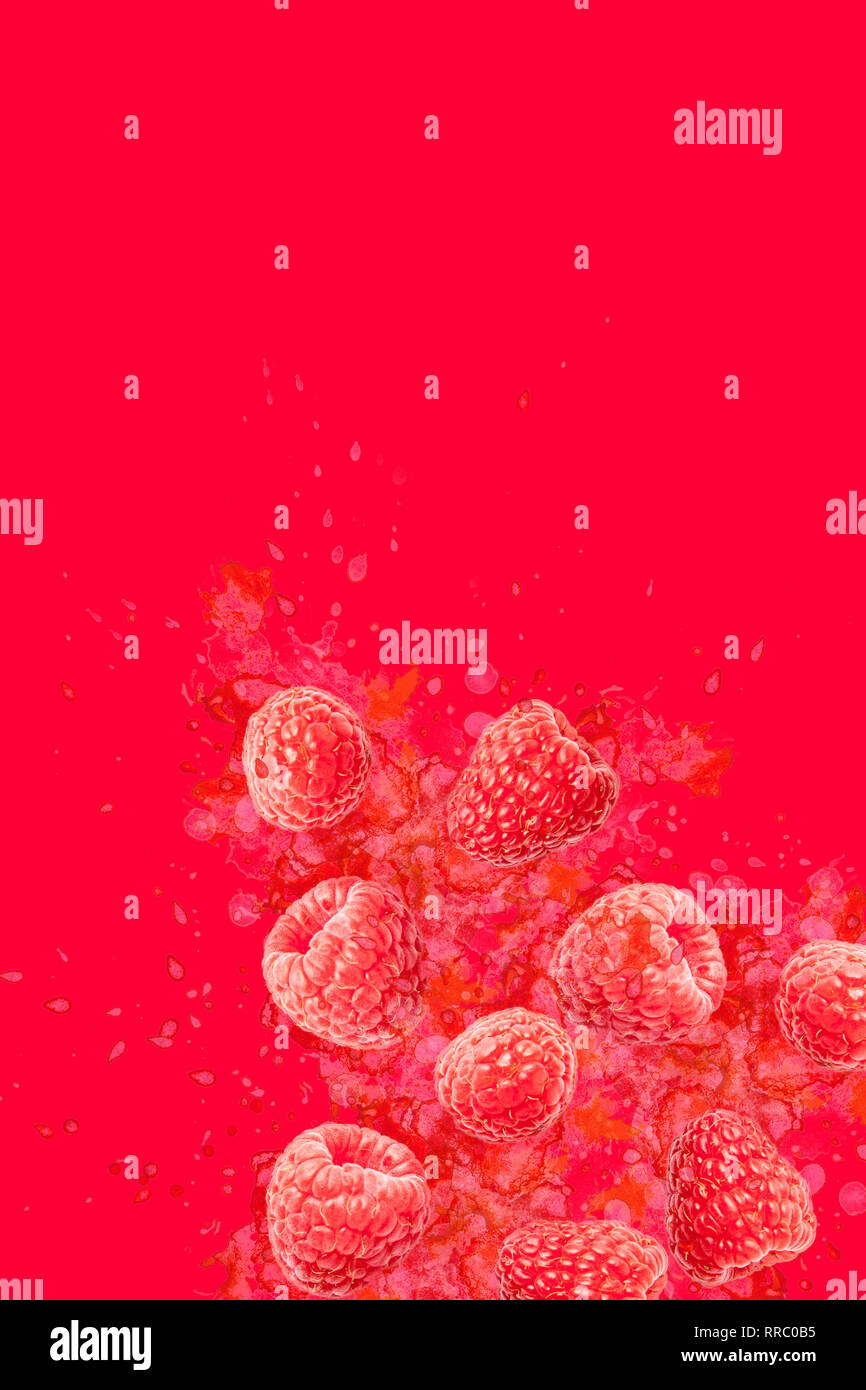 Raspberry watercolor hi-res stock photography and images - Alamy