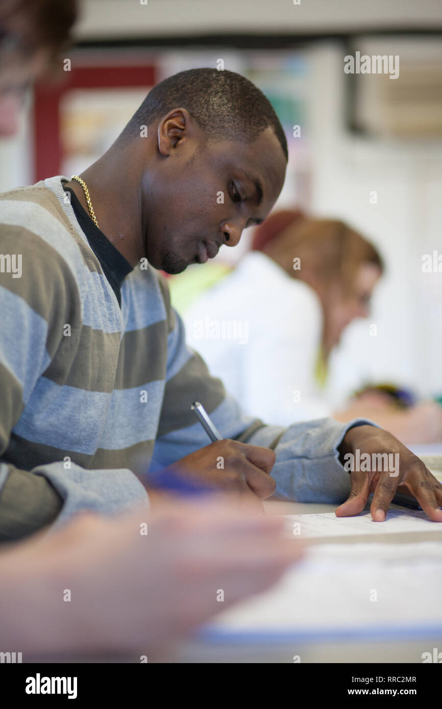 adults in a further education college studying history Stock Photo - Alamy