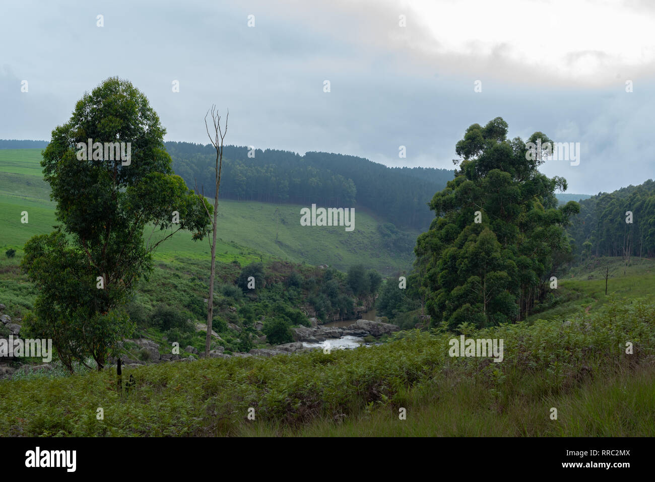 The Karkloof river running through farms and plantations in Kwazulu ...