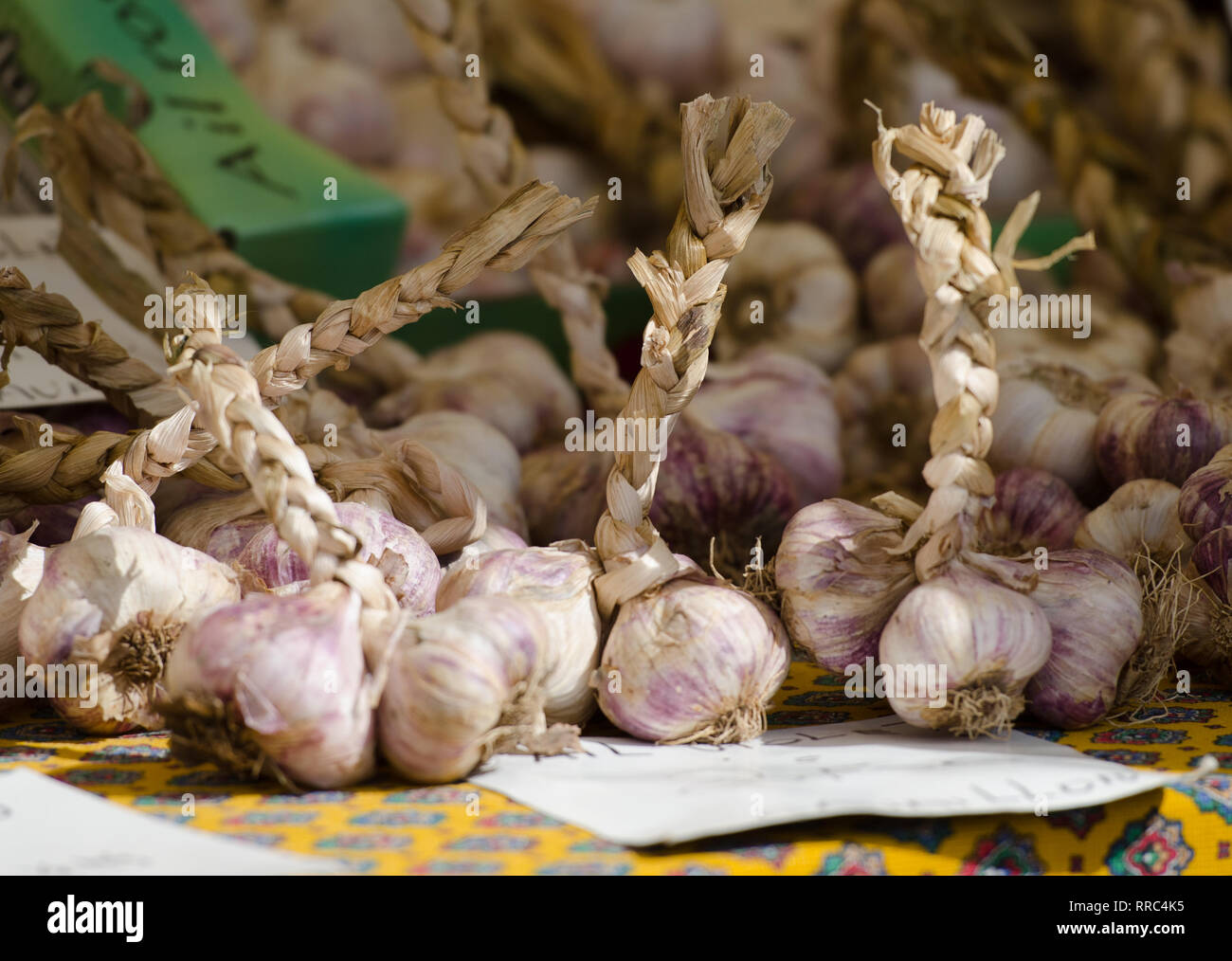 bunches of garlic on the local market Rustrel town provence france ...